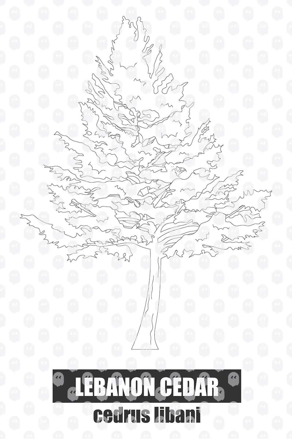 A Lebanon Cedar Tree CAD Block Drawings | Archade
